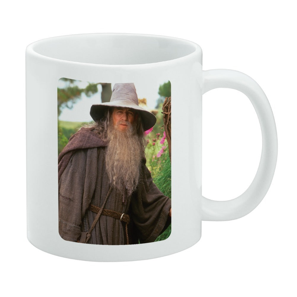 The Lord of the Rings Trilogy - Gandalf the Grey Mug — MeTV Mall