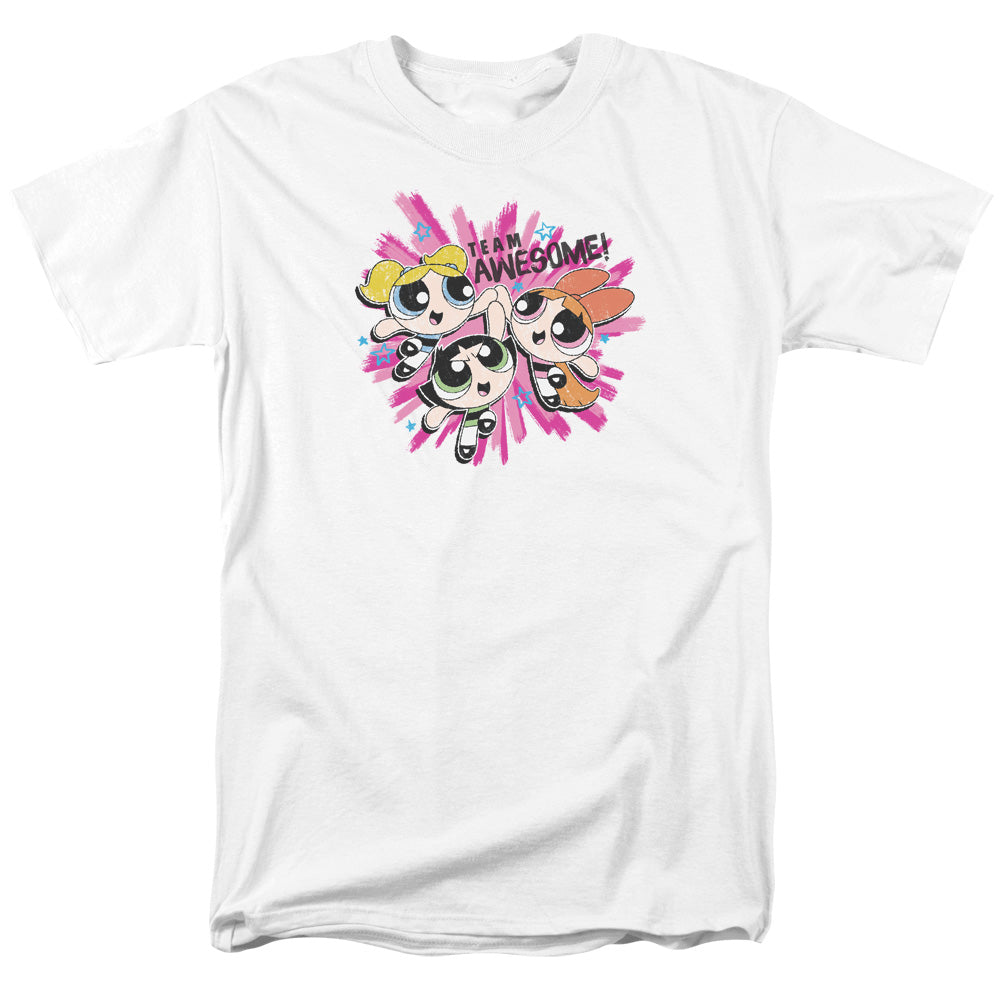 Powerpuff Girls - Team Awesome — MeTV Mall